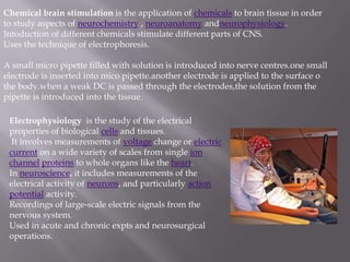 Methods of examining functions of CNS | PPTX