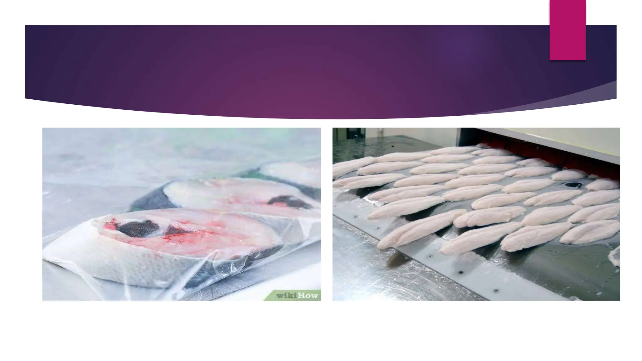 methods of fish preservation.pptx filesd | PPTX