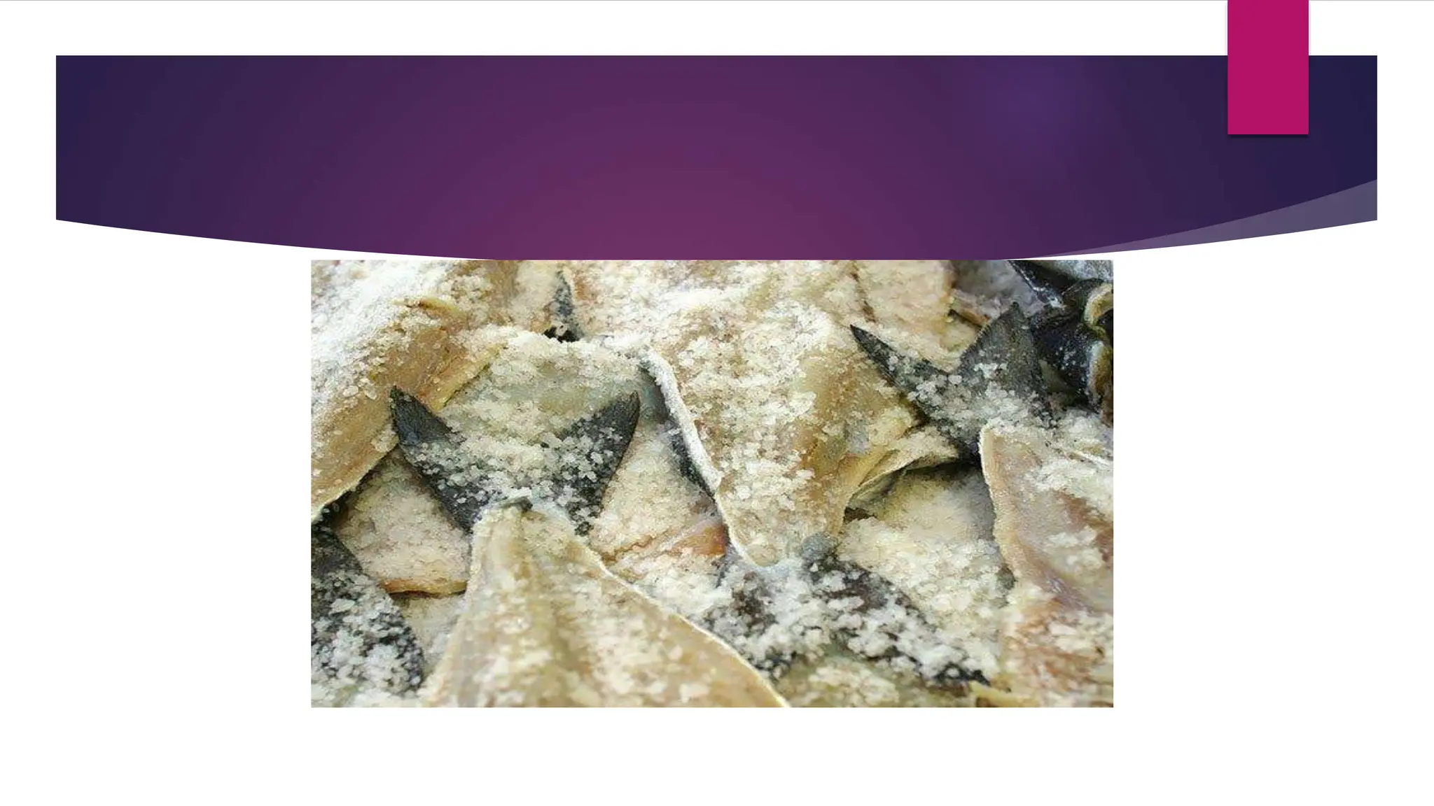 methods of fish preservation.pptx filesd | PPTX