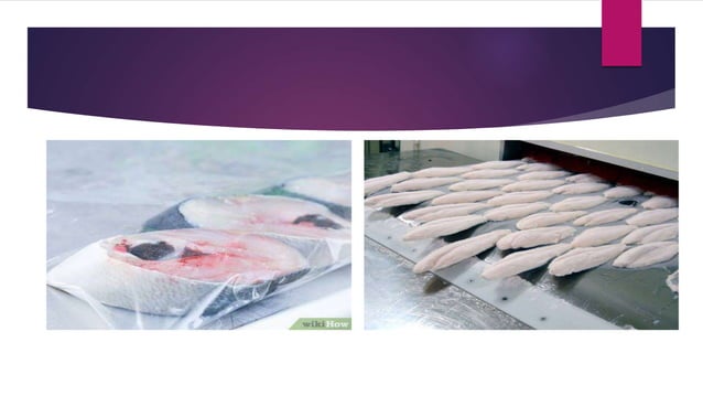 methods of fish preservation.pptx filesd | PPTX | Fish and Aquariums | Pets