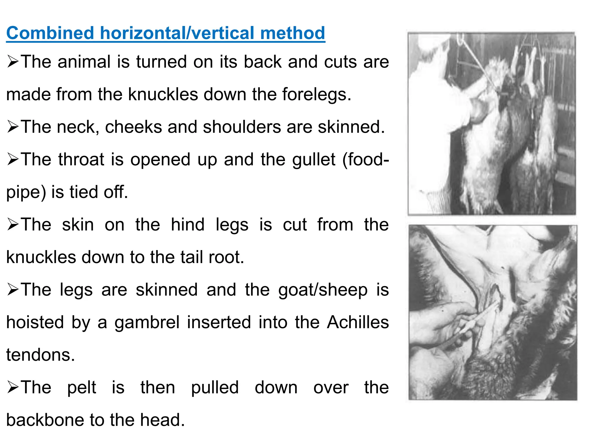 Methods of flaying | PPTX