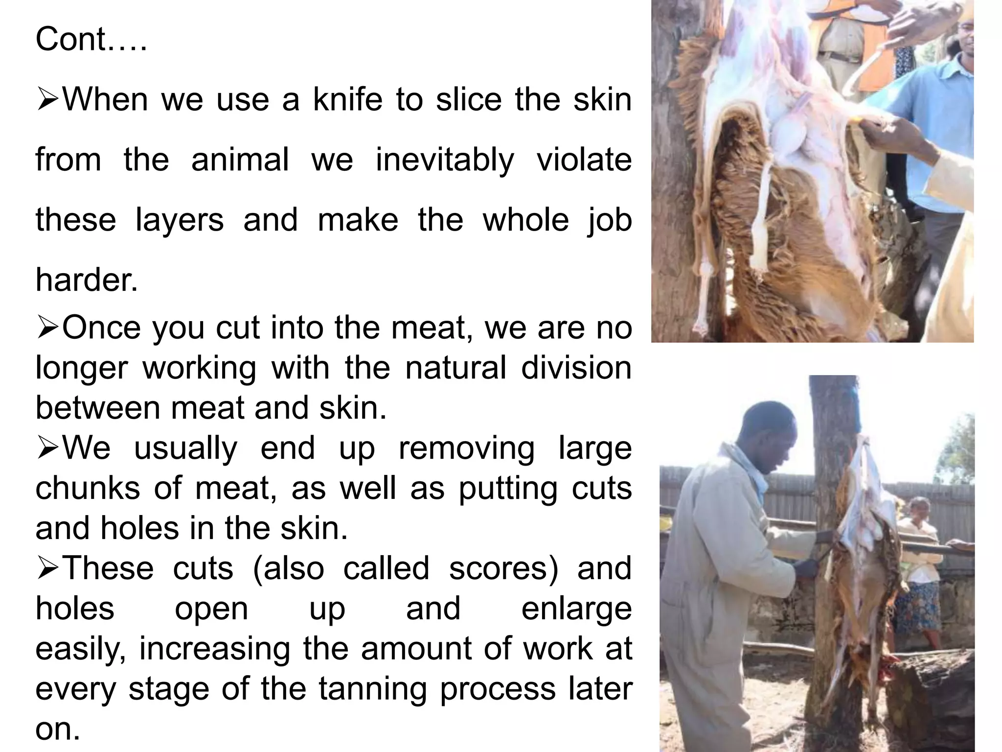 Methods of flaying | PPTX