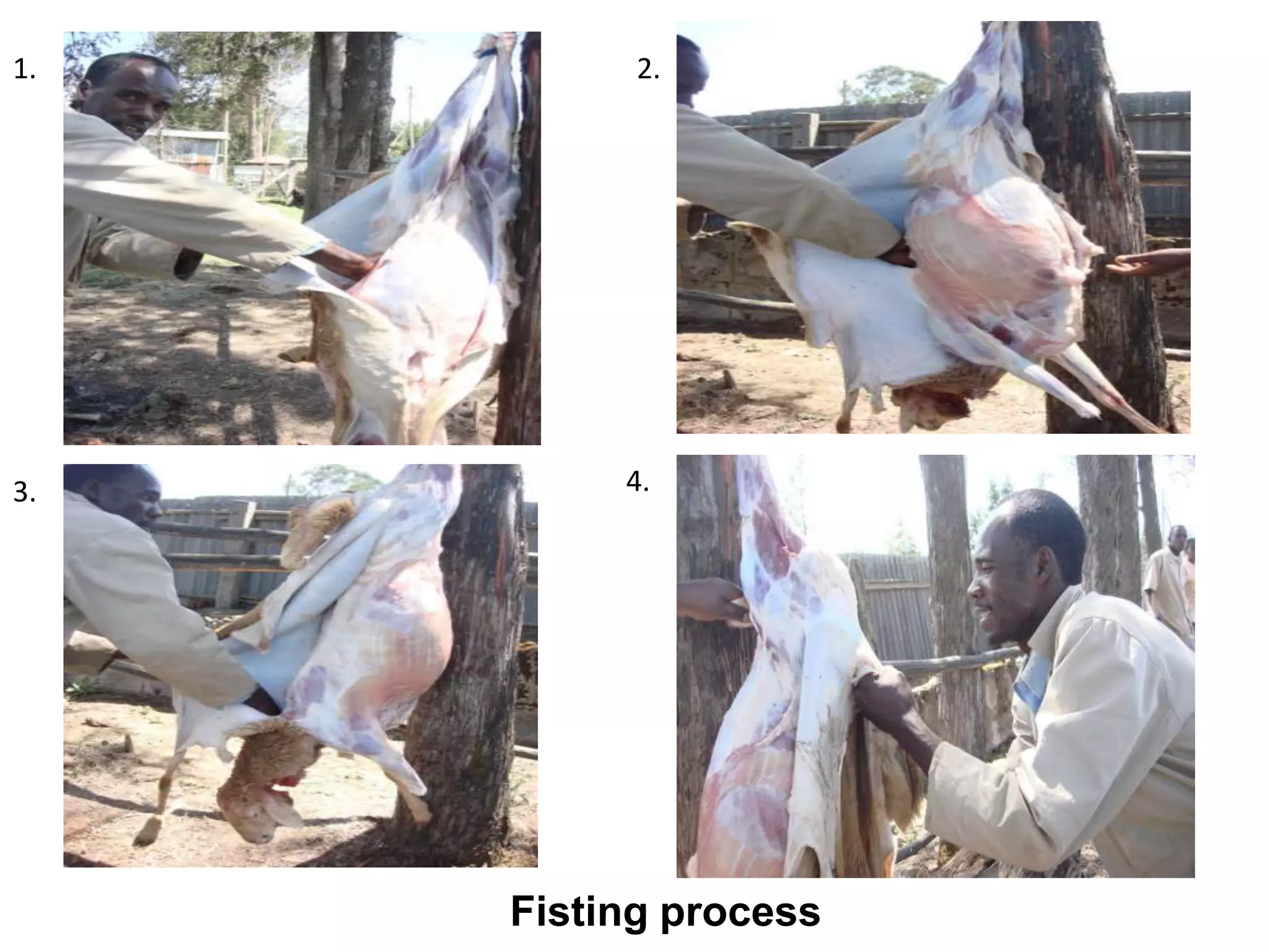 Methods of flaying | PPTX