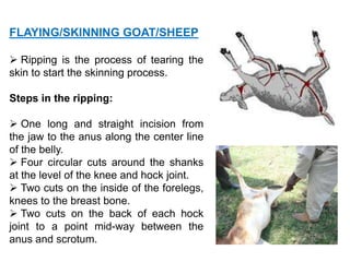 Methods of flaying | PPTX