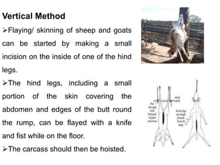 Methods of flaying | PPTX