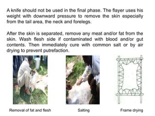 Methods of flaying | PPTX