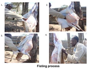 Methods of flaying | PPT