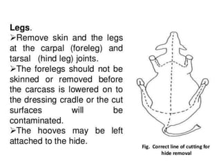 Methods of flaying | PPTX