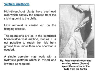 Methods of flaying | PPTX