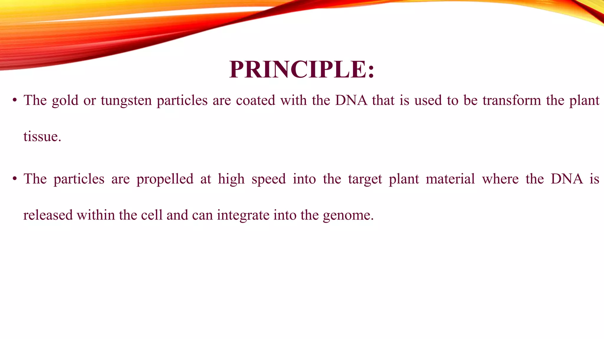 Methods of gene transfer | PPTX