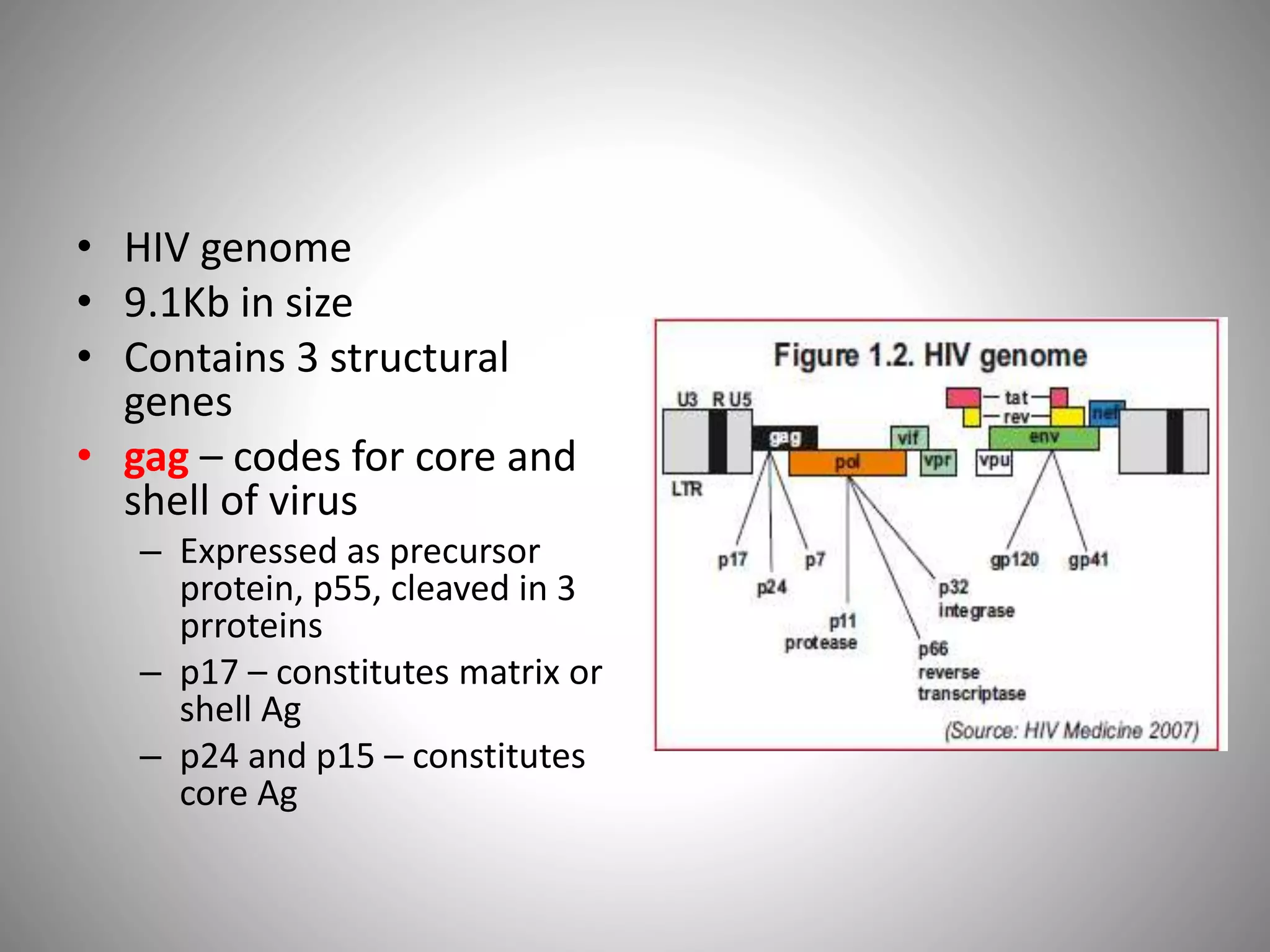 Methods of Laboratory diagnosis (genotypic detection) of HIV | PPTX