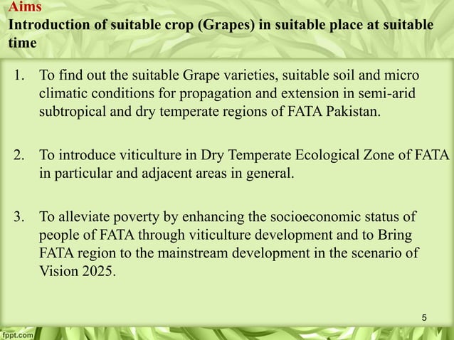 Methods of grapes cultivation انگور کی کاشت کے طریقے | PDF