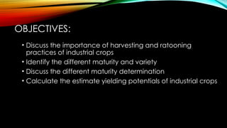 Methods of harvesting and ratooning.pptx