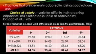 Methods of harvesting and ratooning.pptx