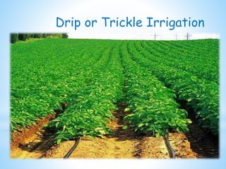 Methods of Irrigation Engineering | PPTX