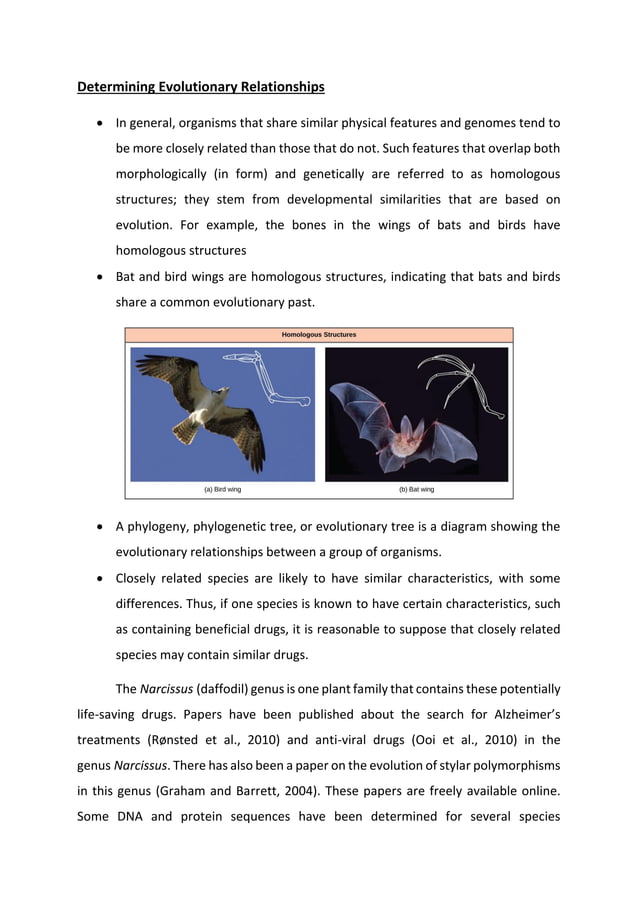 Methods of illustrating evolutionary relationship | PDF | Genealogy and ...