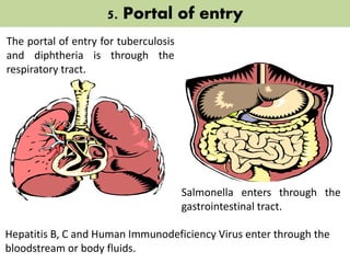 Methods of infection transmission | PPSX