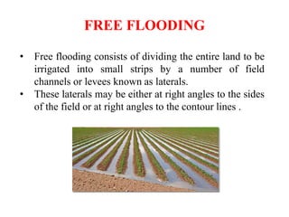 METHODS OF IRRIGATION BY AKASH V. MODI | PPTX