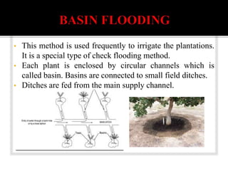 METHODS OF IRRIGATION BY AKASH V. MODI | PPTX