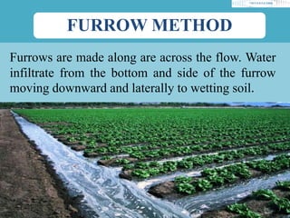 METHODS OF IRRIGATION.pptx