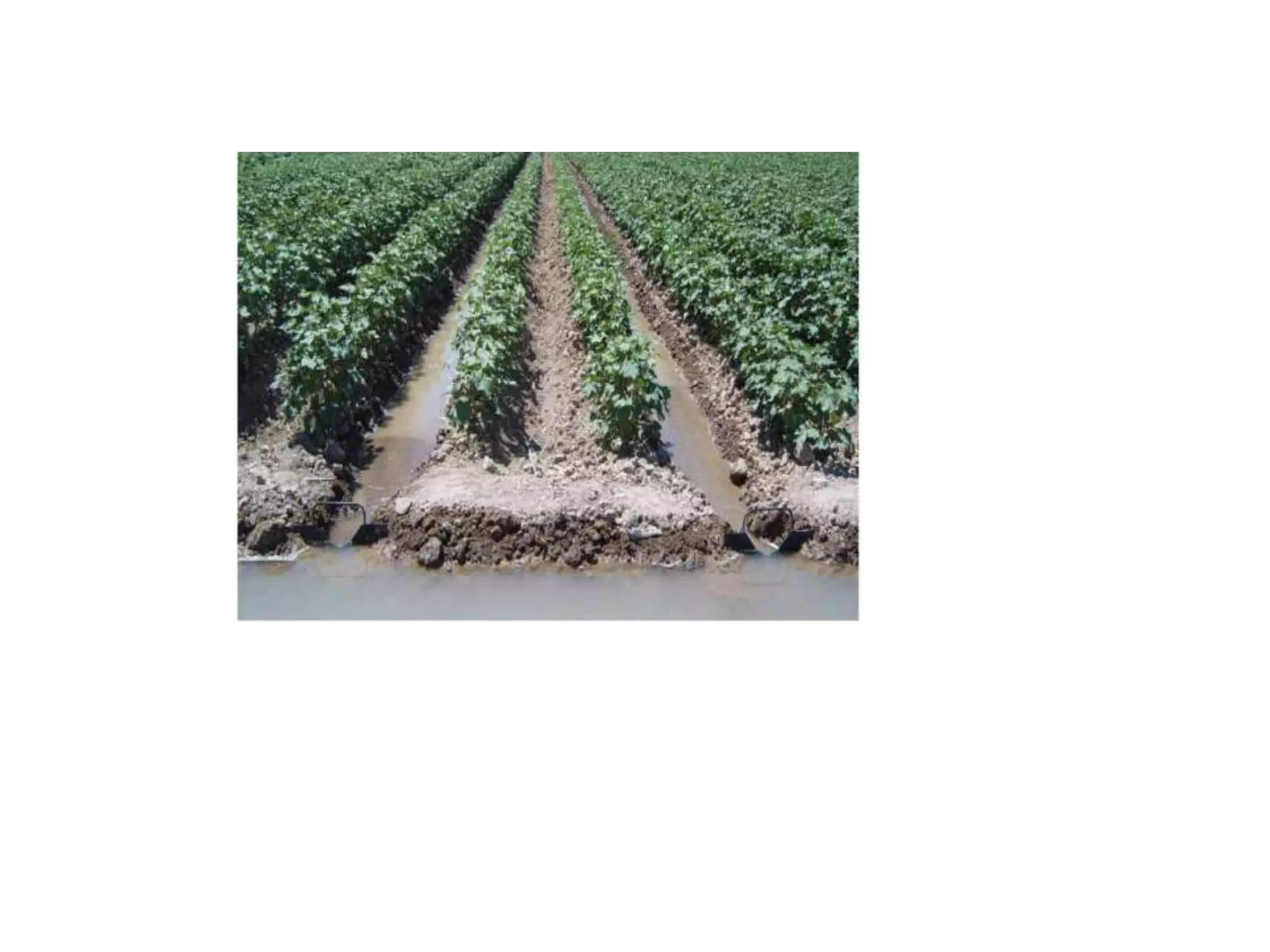 methods_of_irrigation.pdf