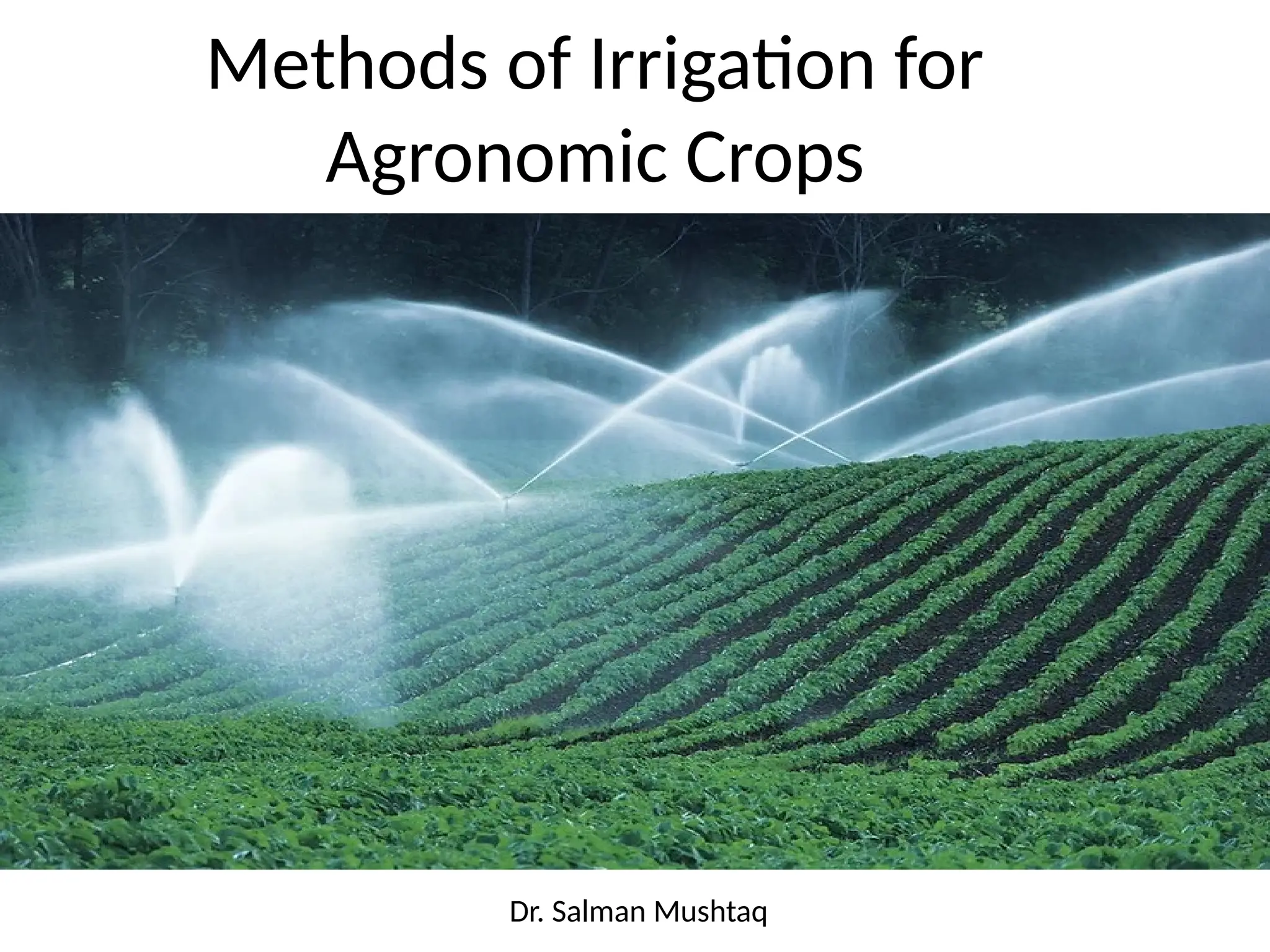 Methods of Irrigation fro agronomic and horticultural crops | PPTX