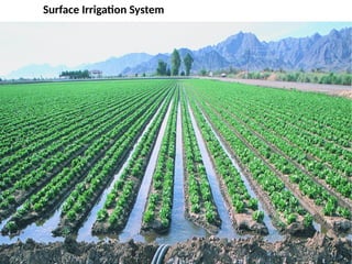 Methods of Irrigation fro agronomic and horticultural crops | PPT