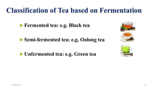 Methods of manufacturing and fermentation of tea | PPTX
