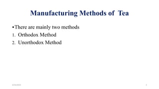 Methods of manufacturing and fermentation of tea | PPTX