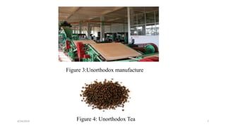 Methods of manufacturing and fermentation of tea | PPTX