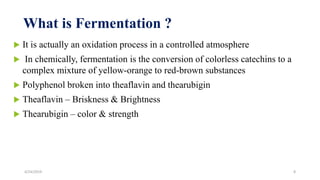 Methods of manufacturing and fermentation of tea | PPTX