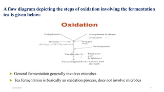 Methods of manufacturing and fermentation of tea | PPTX