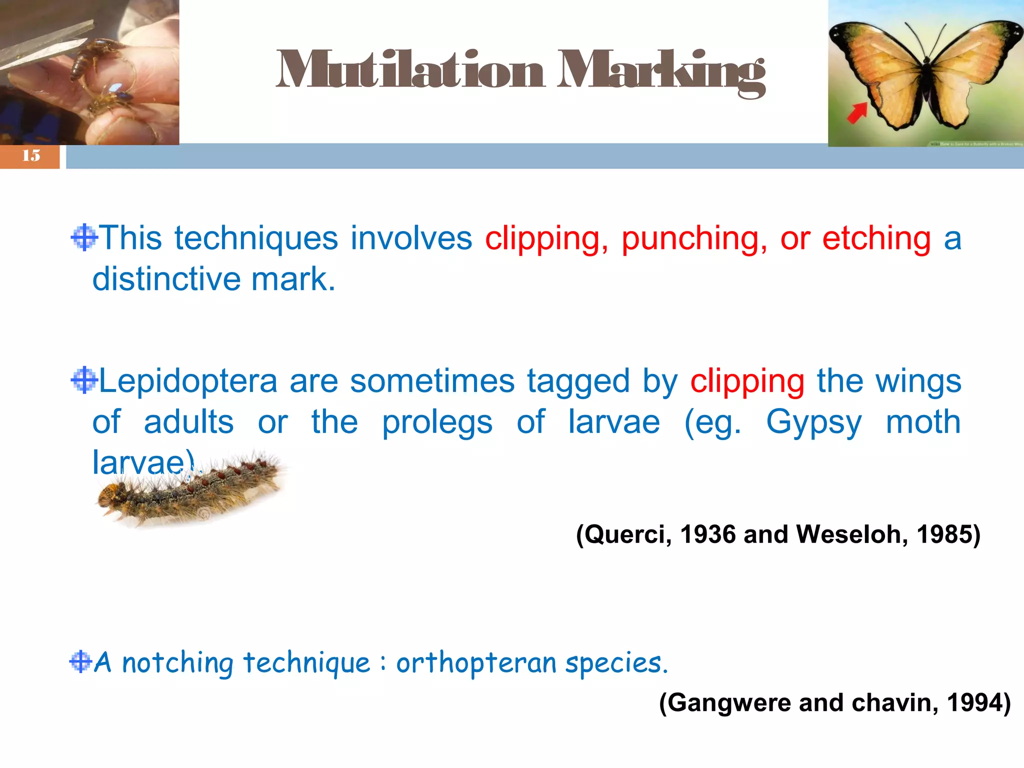 Methods of marking insects | PPT