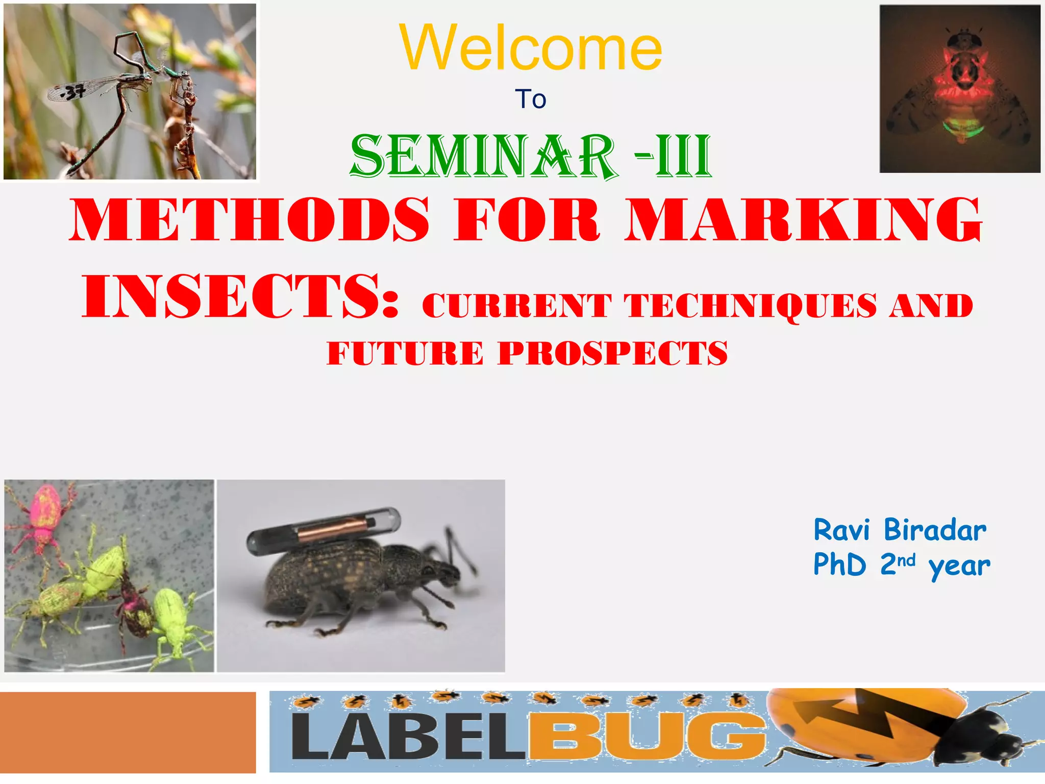 Methods of marking insects | PPT
