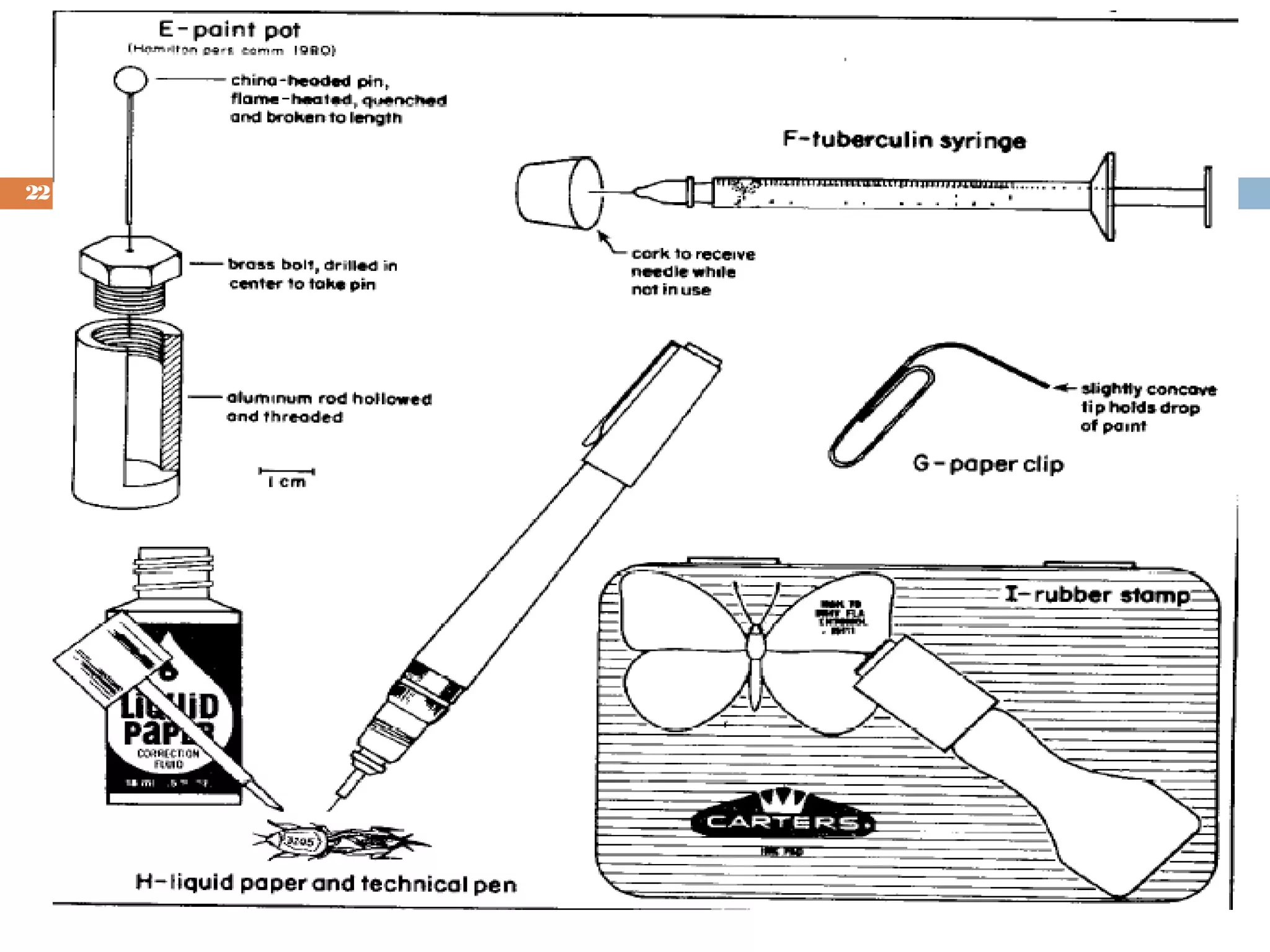 Methods of marking insects | PPT