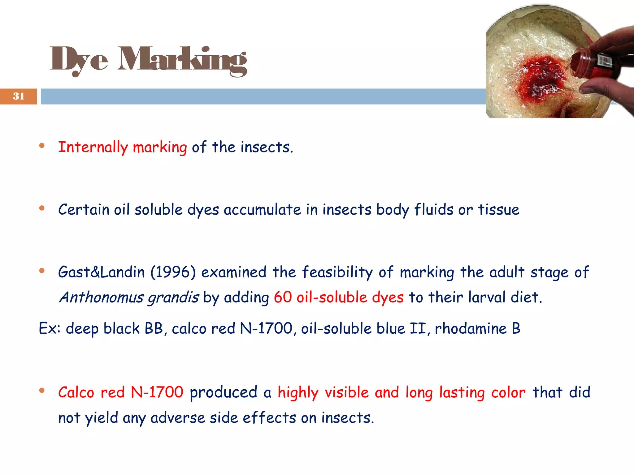 Methods of marking insects | PPT
