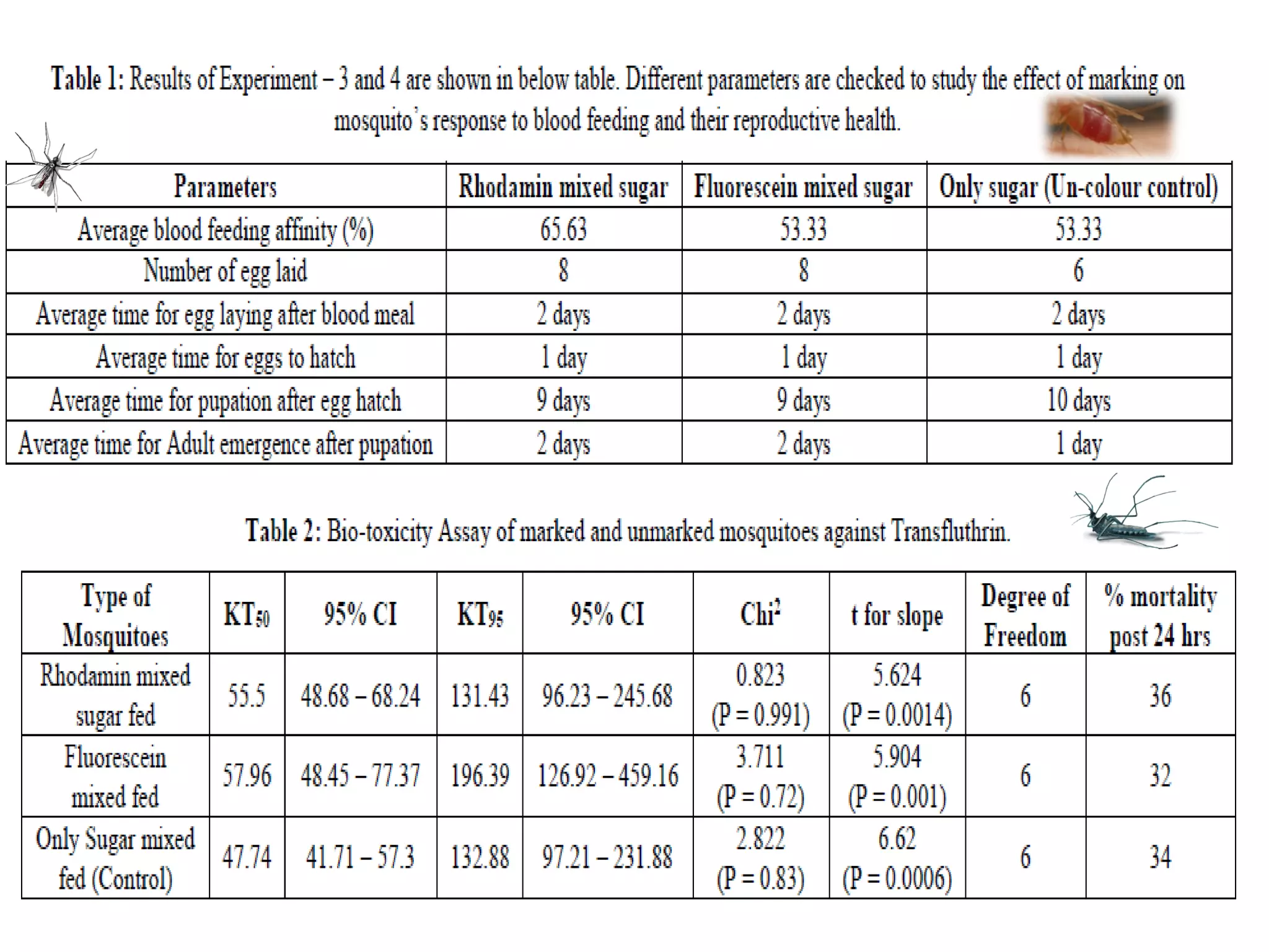 Methods of marking insects | PPT