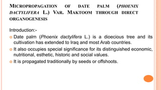 Methods of micropropagation in date palm and guava | PPTX