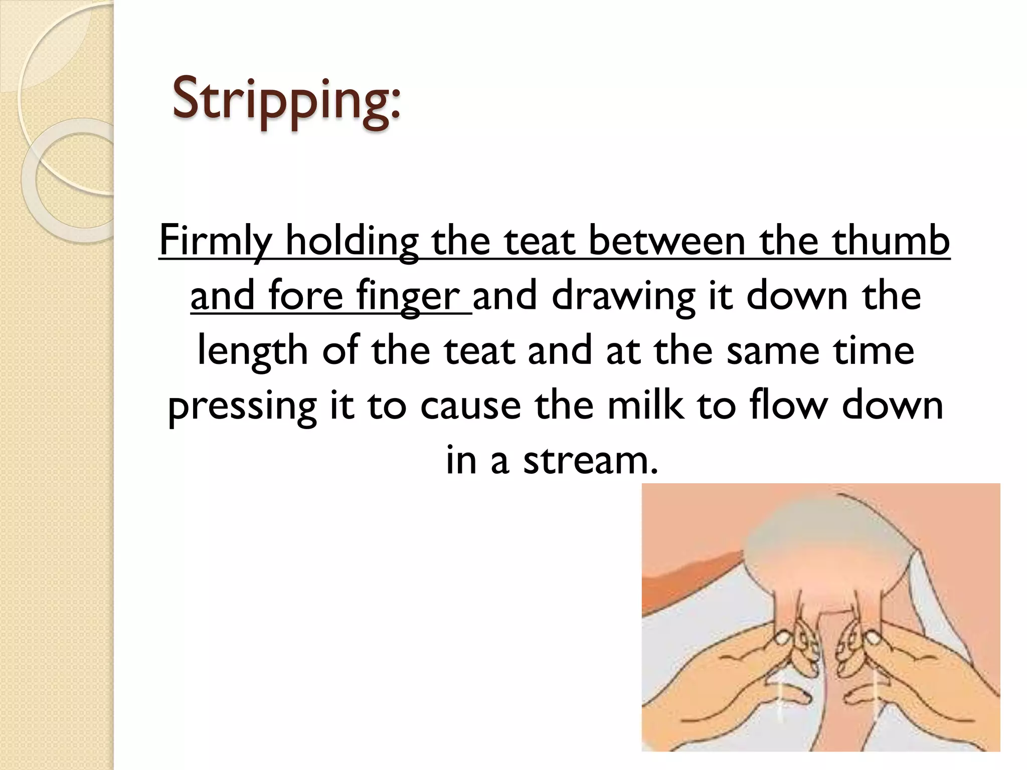 Methods of milking | PPTX
