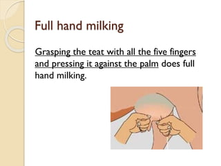 Methods of milking | PPTX | Home Appliances | Home & Garden