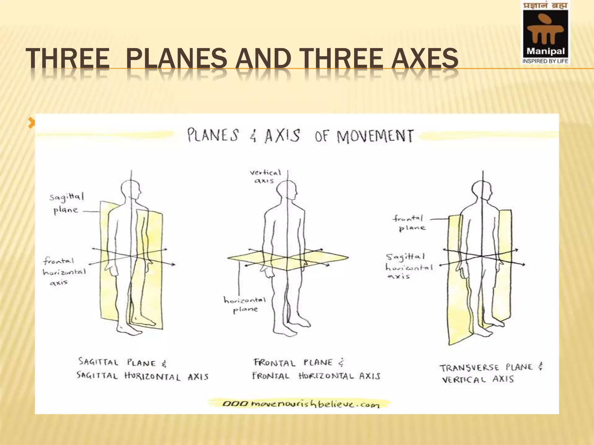 Methods of movements analysis | PPTX