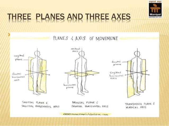 Methods of movements analysis