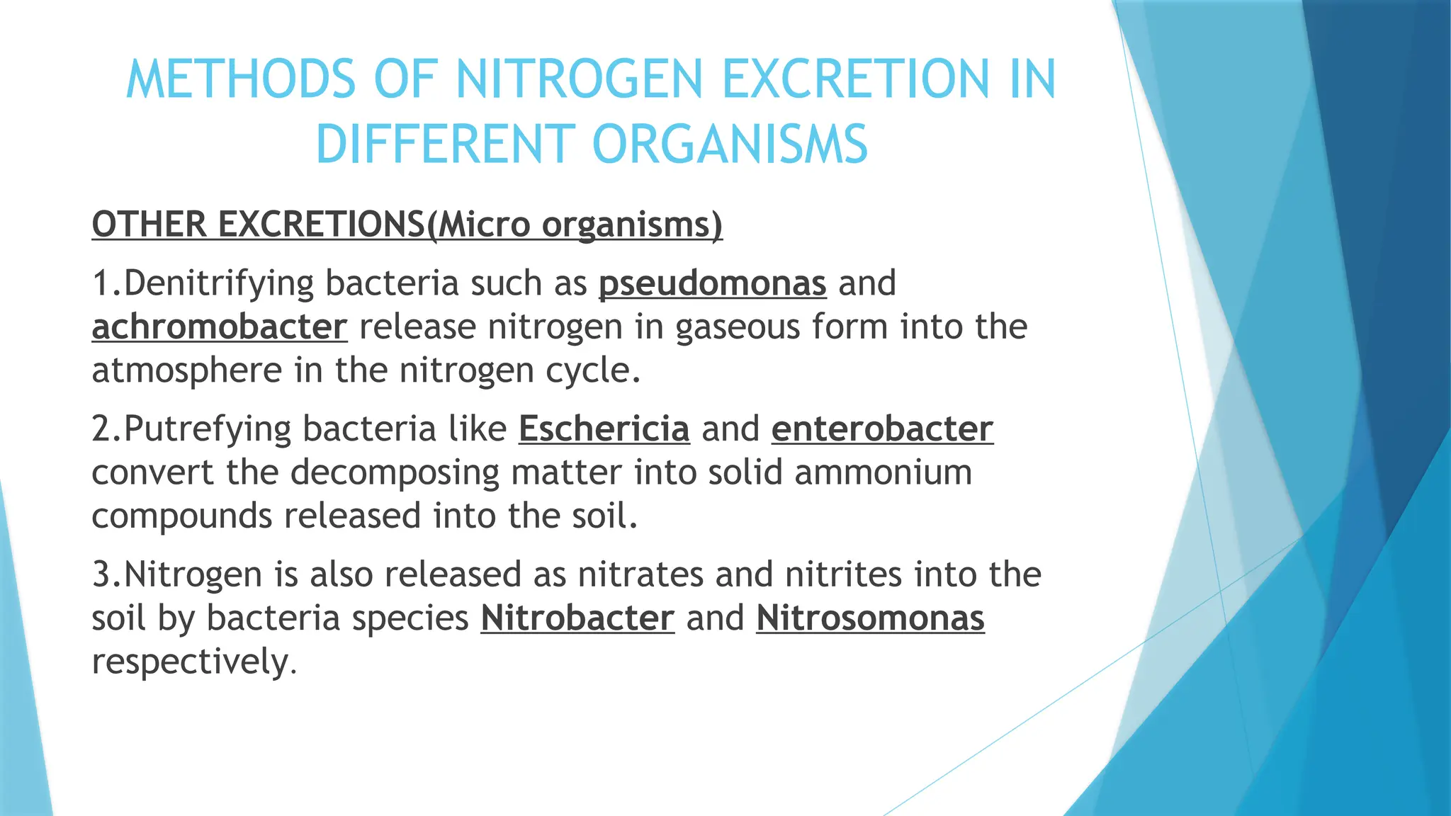 METHODS OF NITROGEN EXCRETION IN DIFFERENT ORGANISMS.pptx