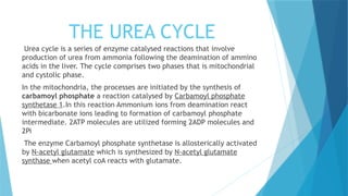 METHODS OF NITROGEN EXCRETION IN DIFFERENT ORGANISMS.pptx