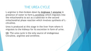 METHODS OF NITROGEN EXCRETION IN DIFFERENT ORGANISMS.pptx