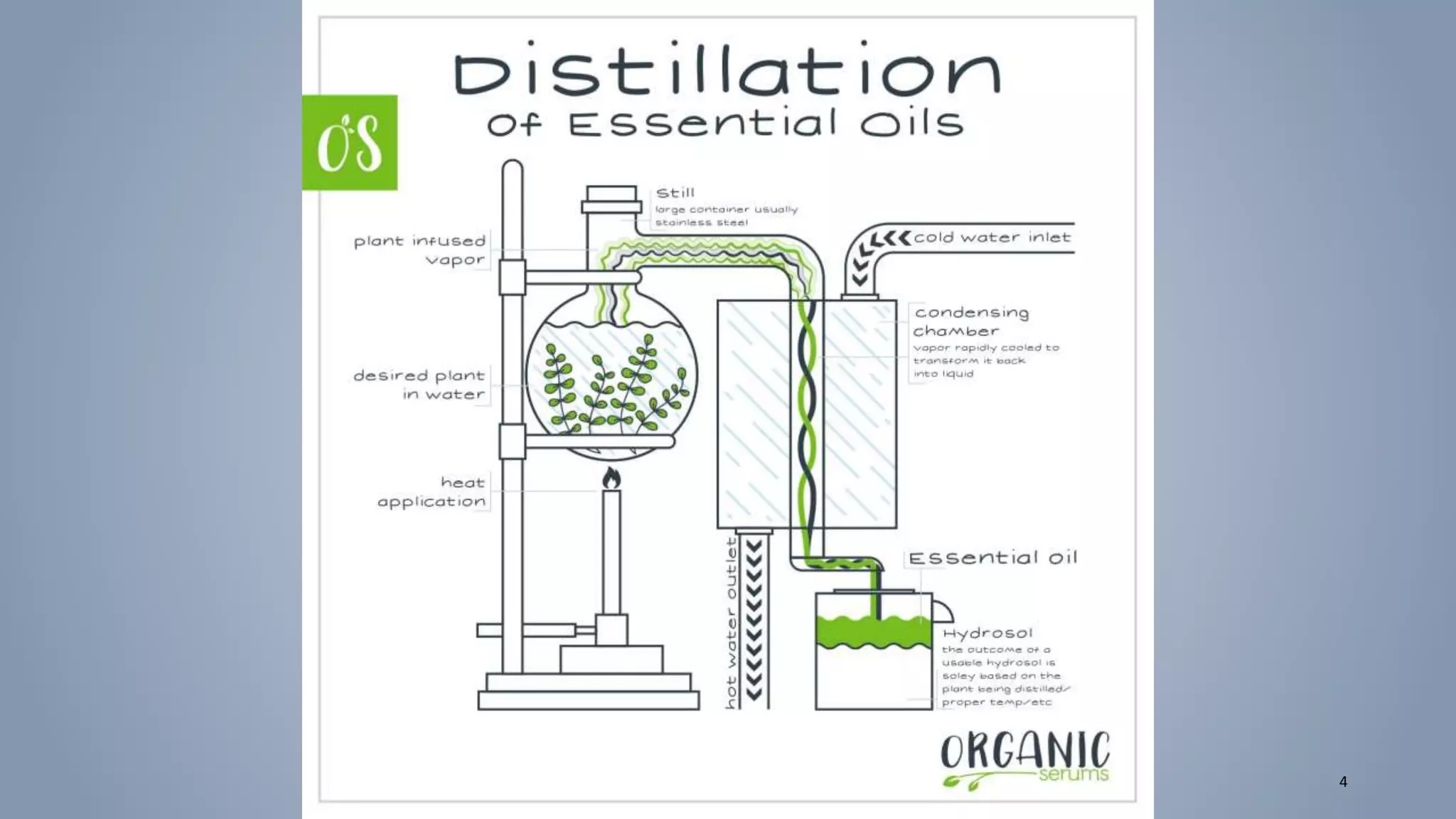 Methods of oil extraction | PPTX