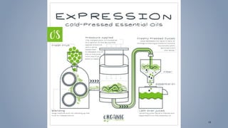 Methods of oil extraction | PPTX
