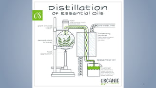Methods of oil extraction | PPTX