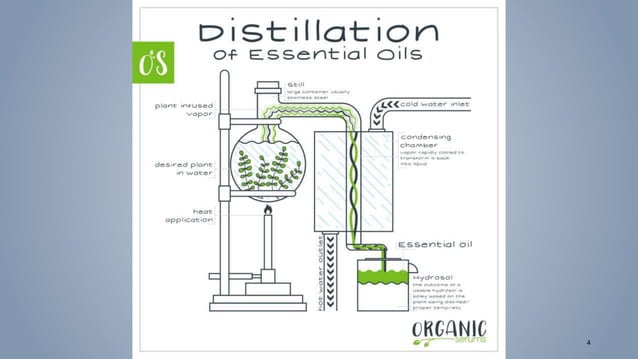 Methods of oil extraction | PPTX