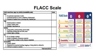 Flacc Scale Pain Assessment